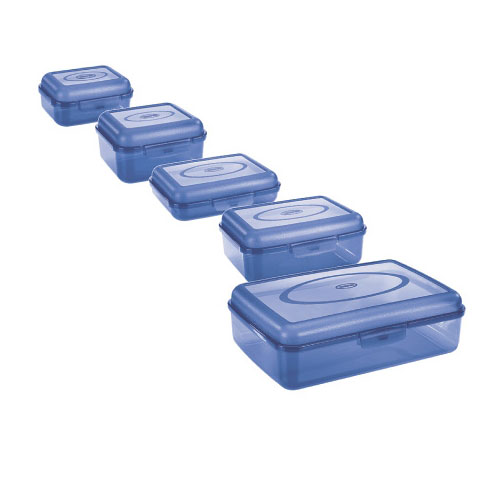 Lot de 5 boites alimentaires en plastique